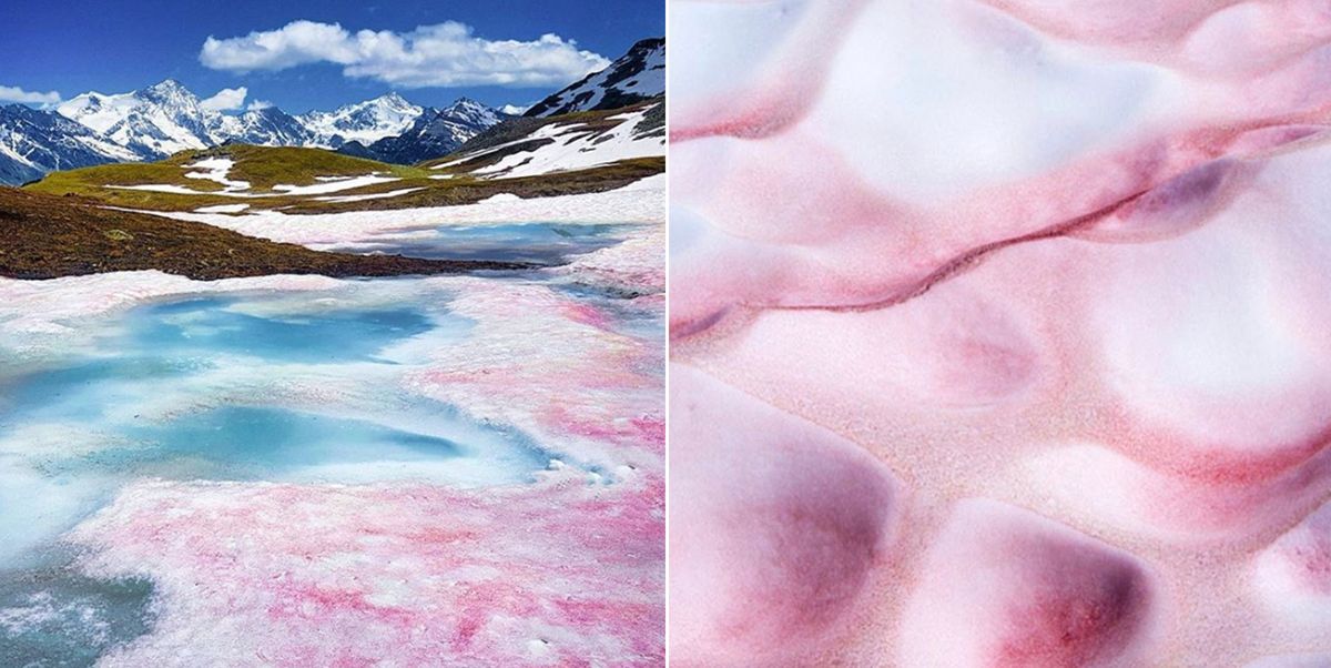 Watermelon Snow: Pink Snow In The Alps Is A Red Flag - Health Highroad