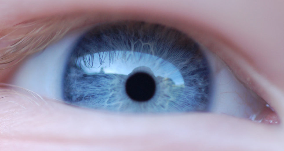Should You Worry About Flashes of Light in the Eye and Visit an Eye ...
