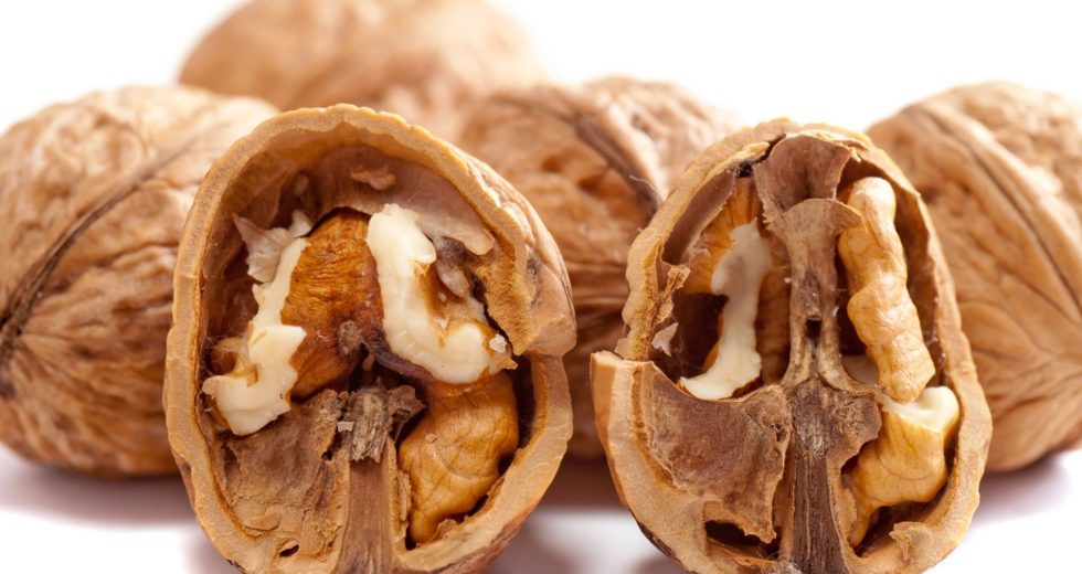 A Handful of Walnuts Per Day Can Protect You From Cardiovascular ...