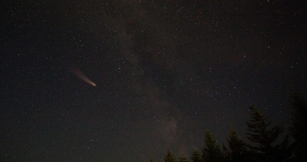 Wolf 1069b is the Newfound Planet That Could Host Life Just 'Next-Door ...