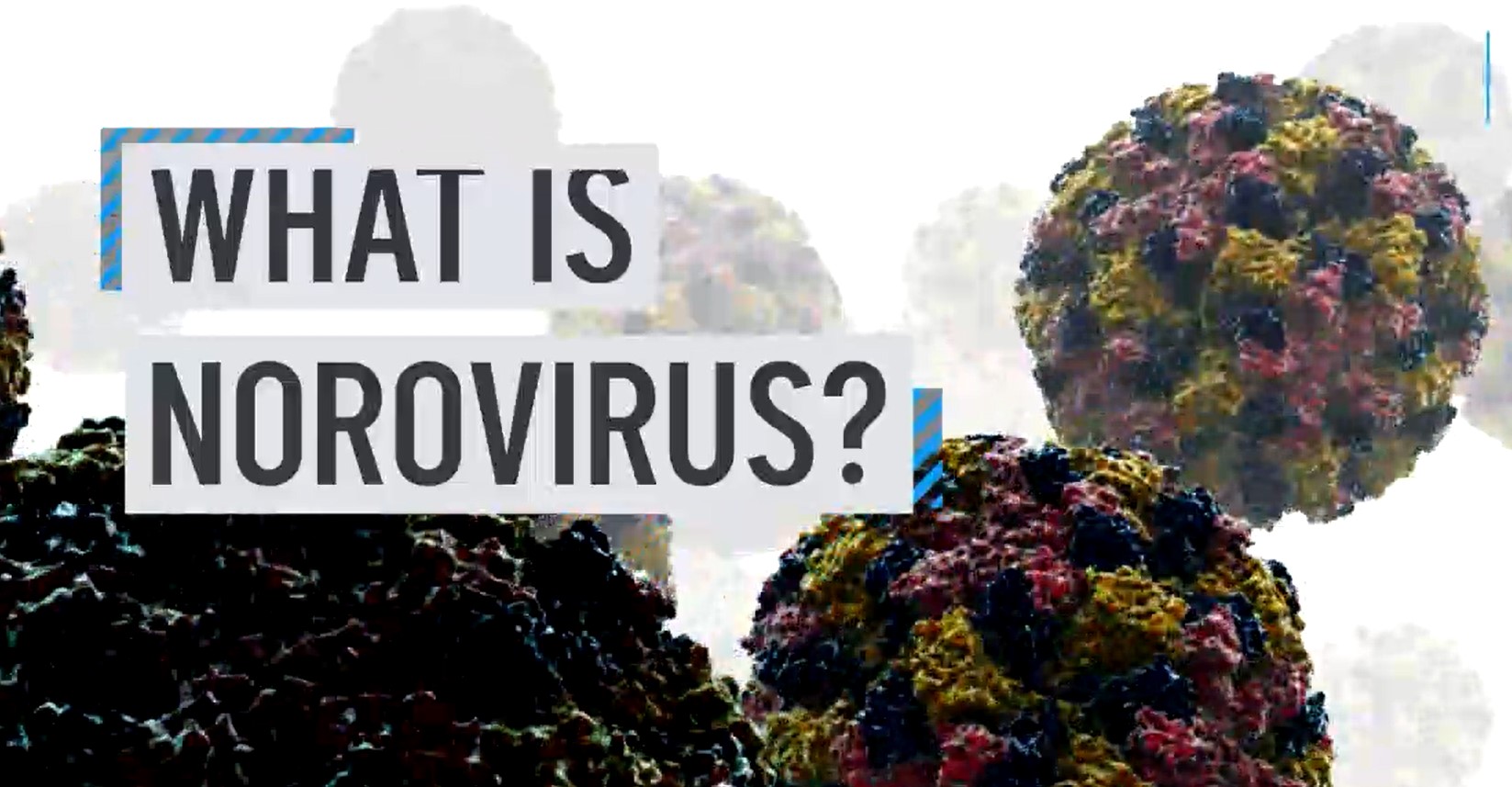 Norovirus Spreads Throughout the Country – Here’s What Medical Experts ...